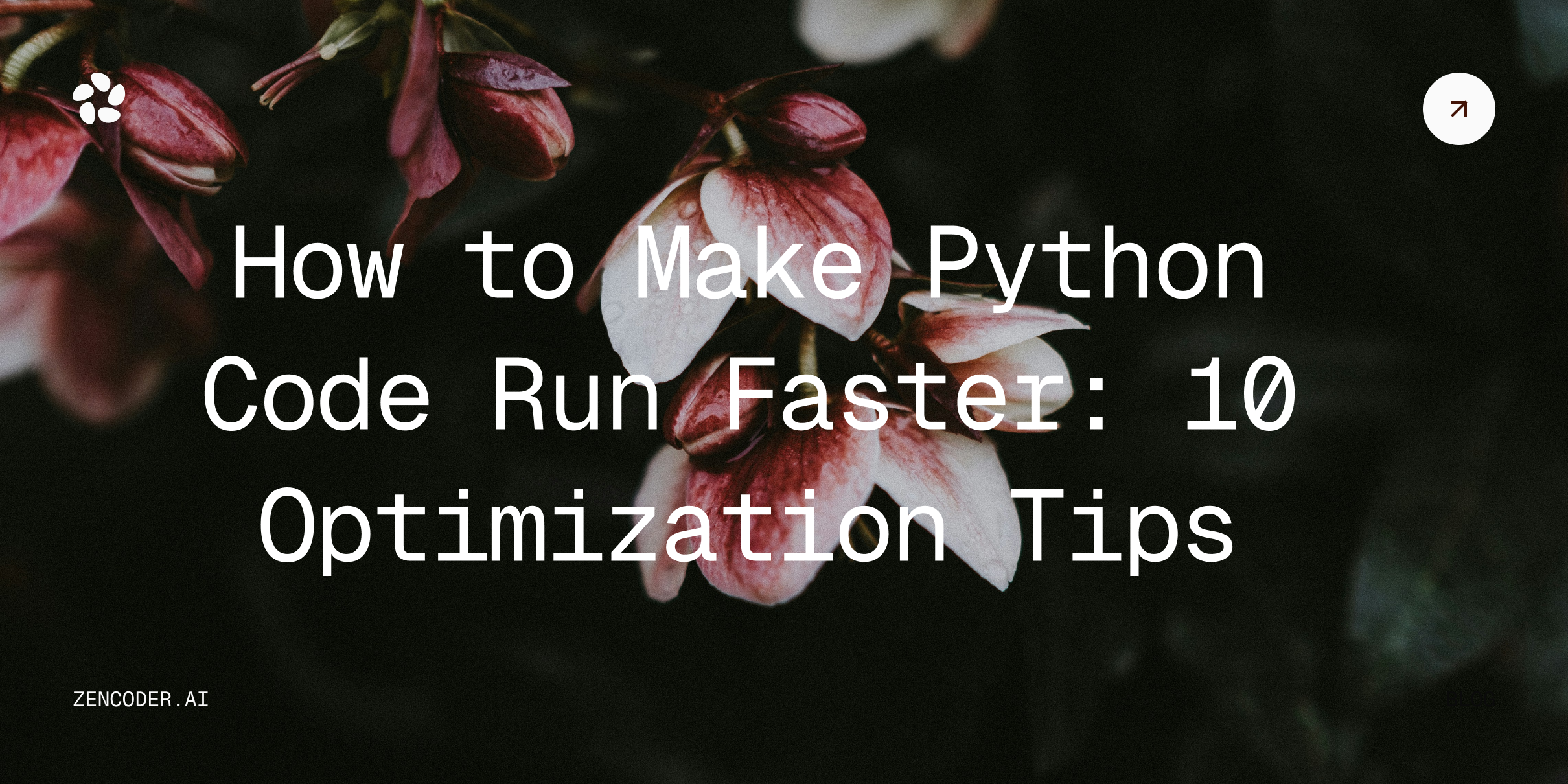How to Make Python Code Run Faster: 10 Optimization Tips